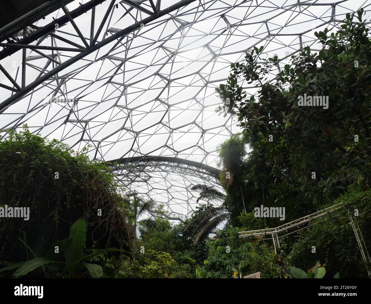 View into the rainforest dome of the Eden Project, Bodelva, St Austell ...