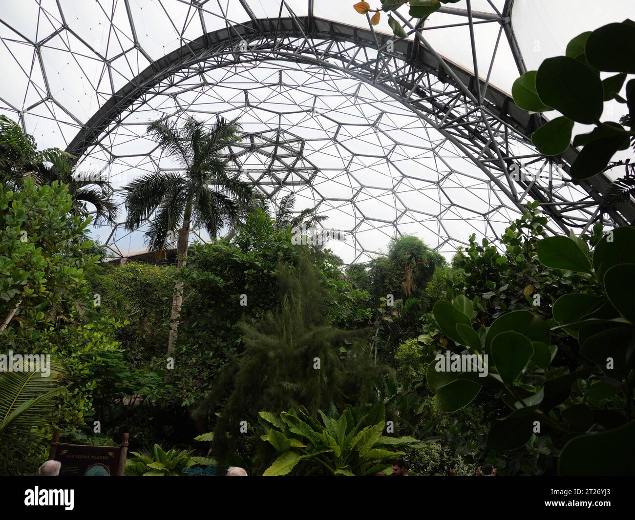 View into the rainforest dome of the Eden Project, Bodelva, St Austell ...