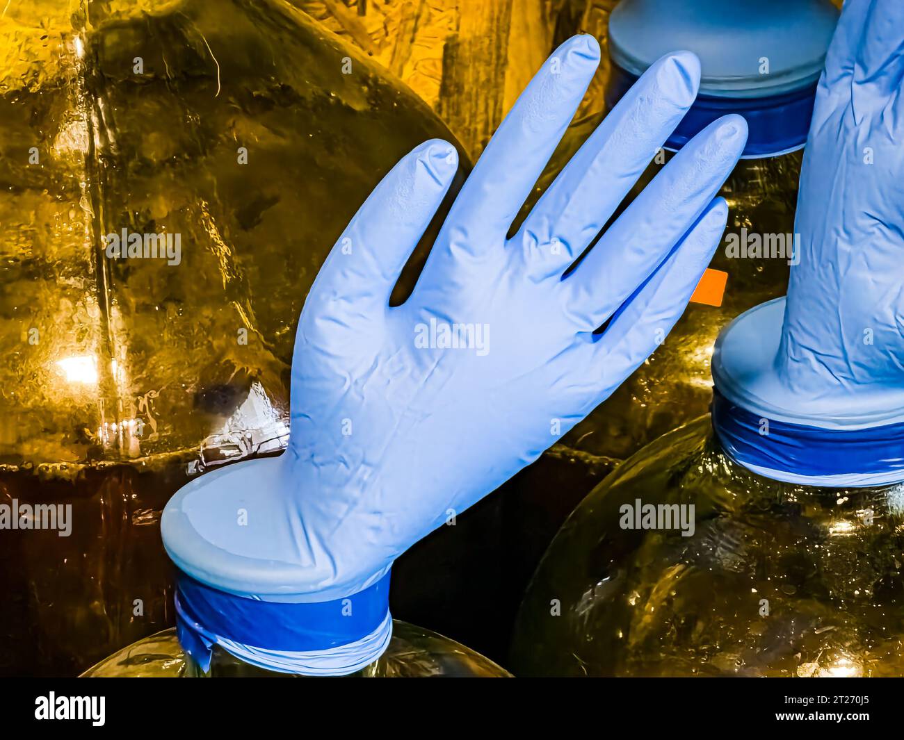 The correct fermentation process, making homemade wine. Glass bottles ...