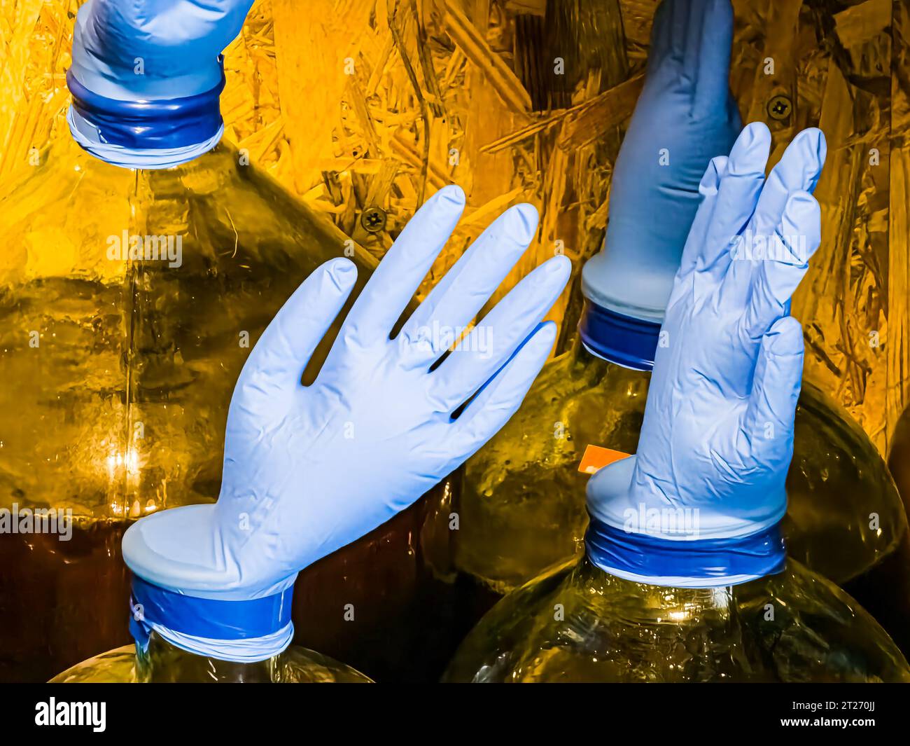 The correct fermentation process, making homemade wine. Glass bottles ...