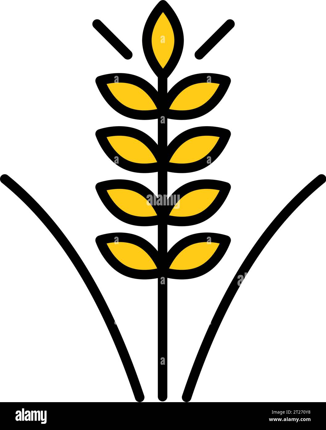 Vector farm wheat ears color icon template. Flat whole grain symbol ...