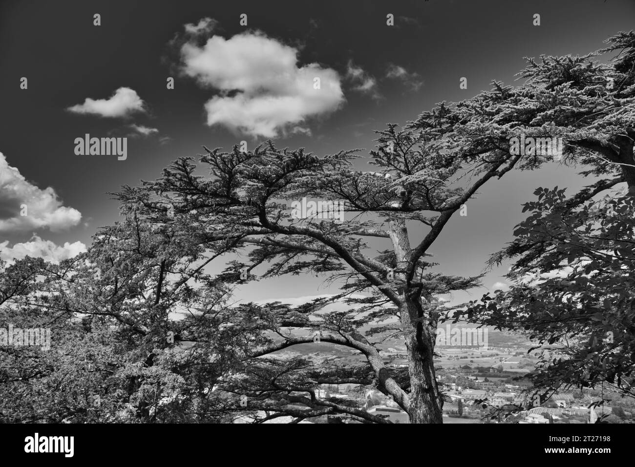 Panoramic view beautiful valley Black and White Stock Photos & Images ...