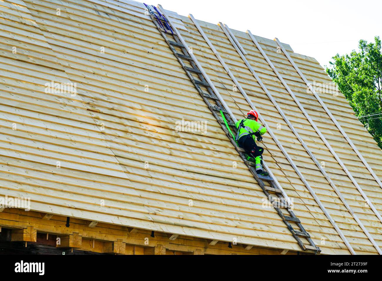 A carpenter is nailing new planks layer to the roof before installing ...