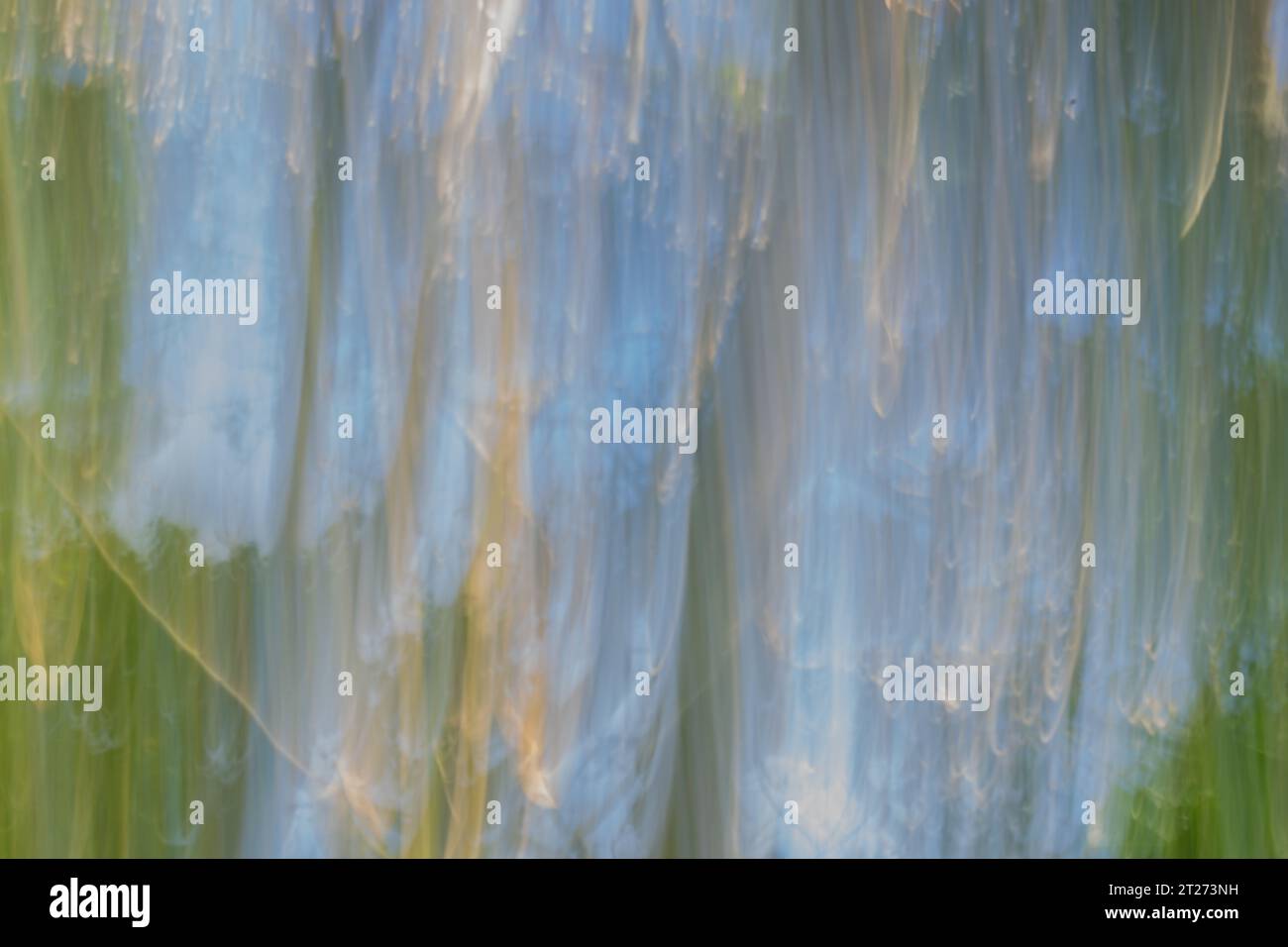 Abstract nature blur using intentional camera movement background Stock ...