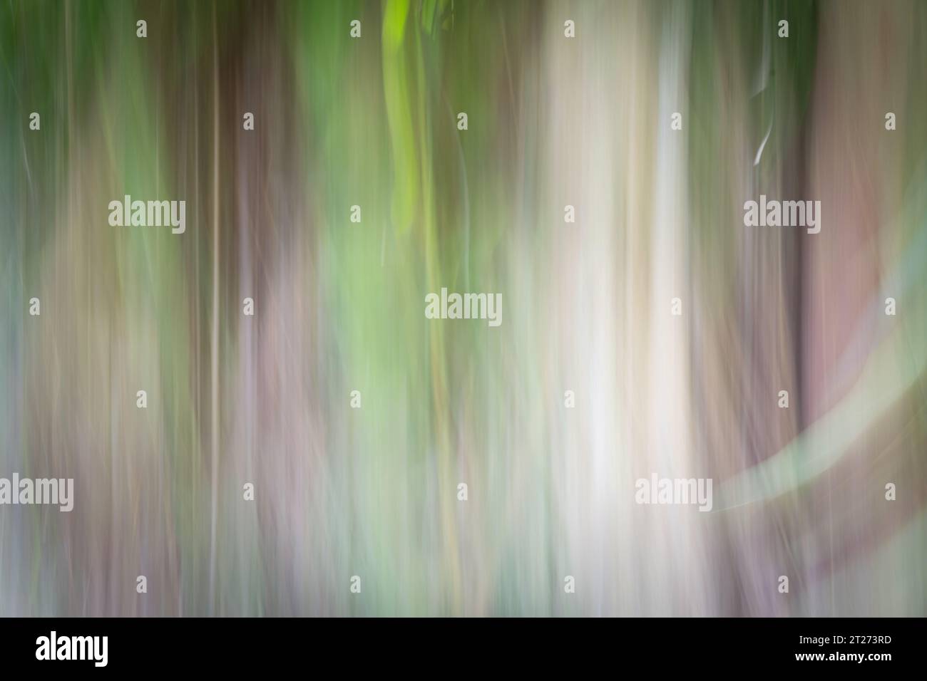 Abstract nature blur using intentional camera movement background Stock ...