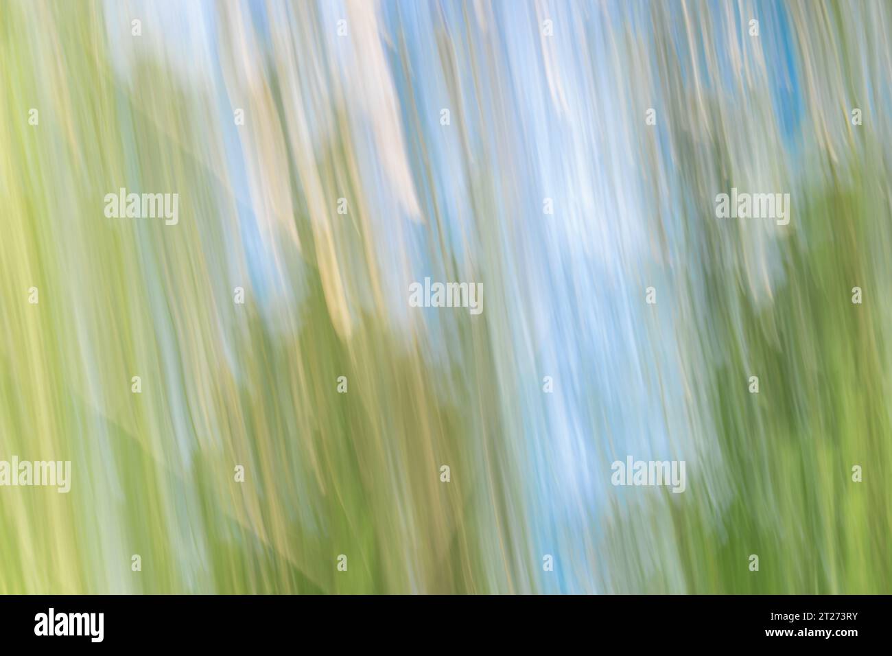 Abstract nature blur using intentional camera movement background Stock ...