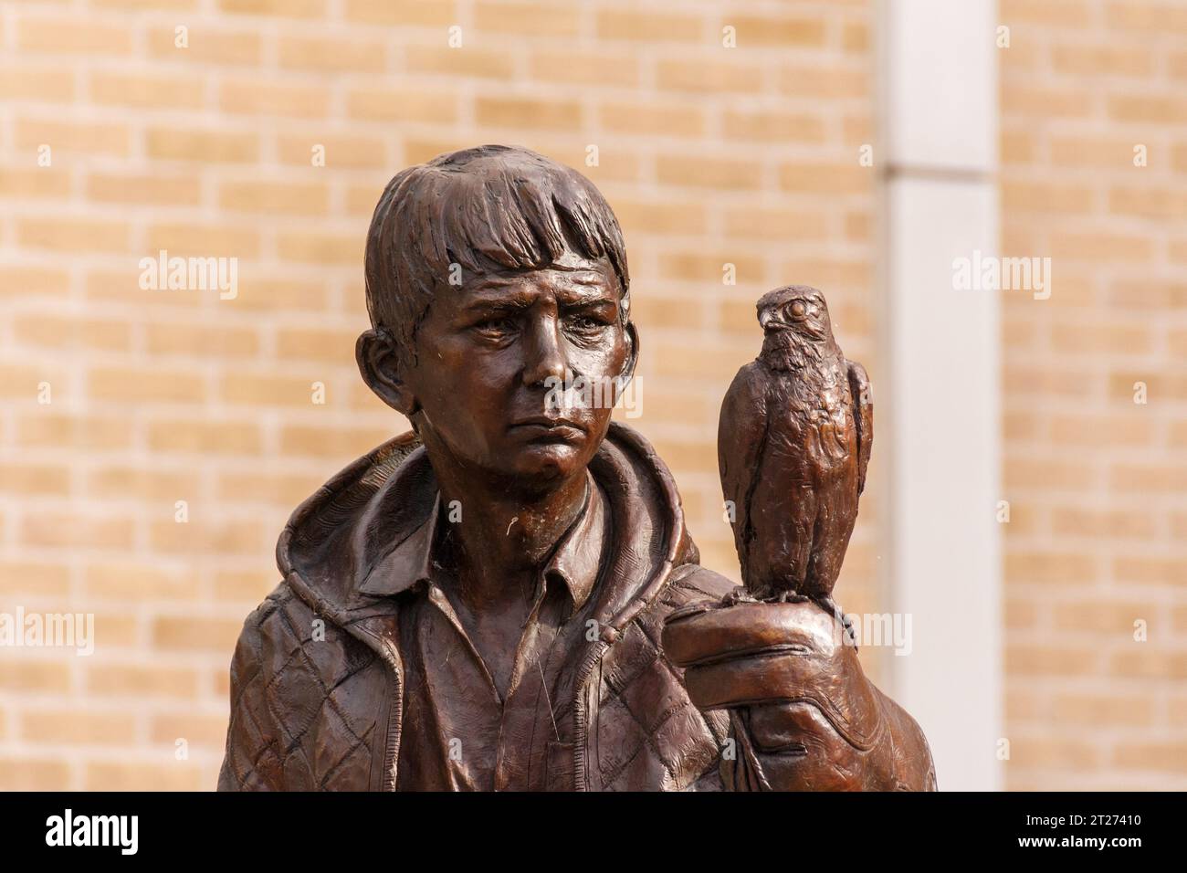 The Graham Ibbeson statue of Kes dedicated to Barry Hines Stock Photo ...