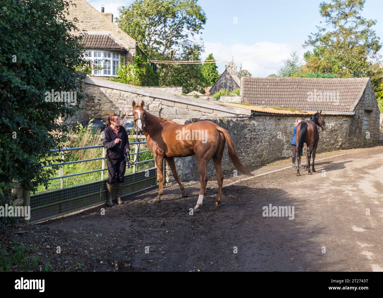 Michael Dods Racing,Denton,Darlington,England,UK.Two racehorses with ...