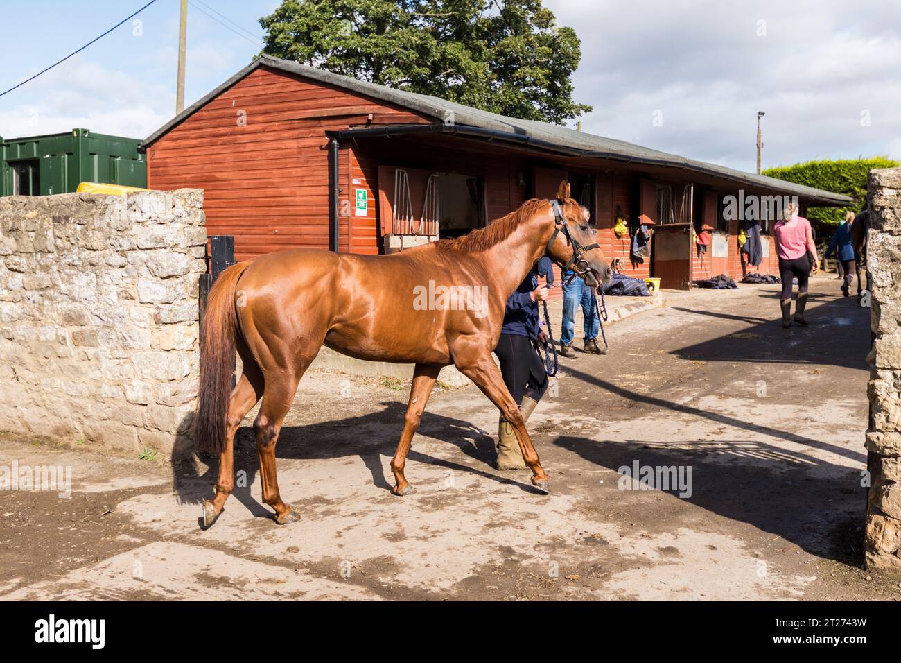Racehorse stables hi-res stock photography and images - Alamy