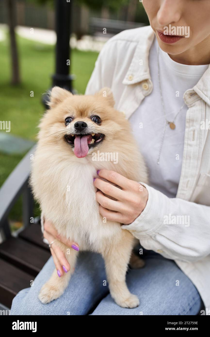 partial view of woman cuddling beloved pomeranian spitz on bench in ...