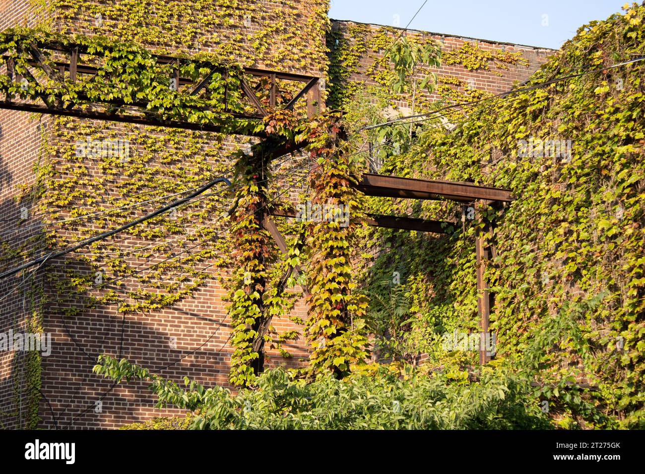 abandoned building metal bars Stock Photo - Alamy