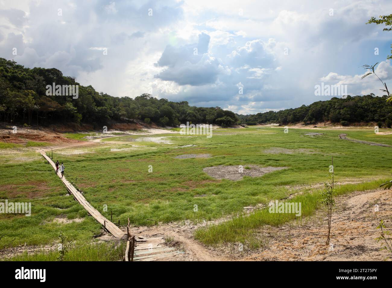 Dry river in extreme drought in the Amazon Rainforest. Wooden bridge ...
