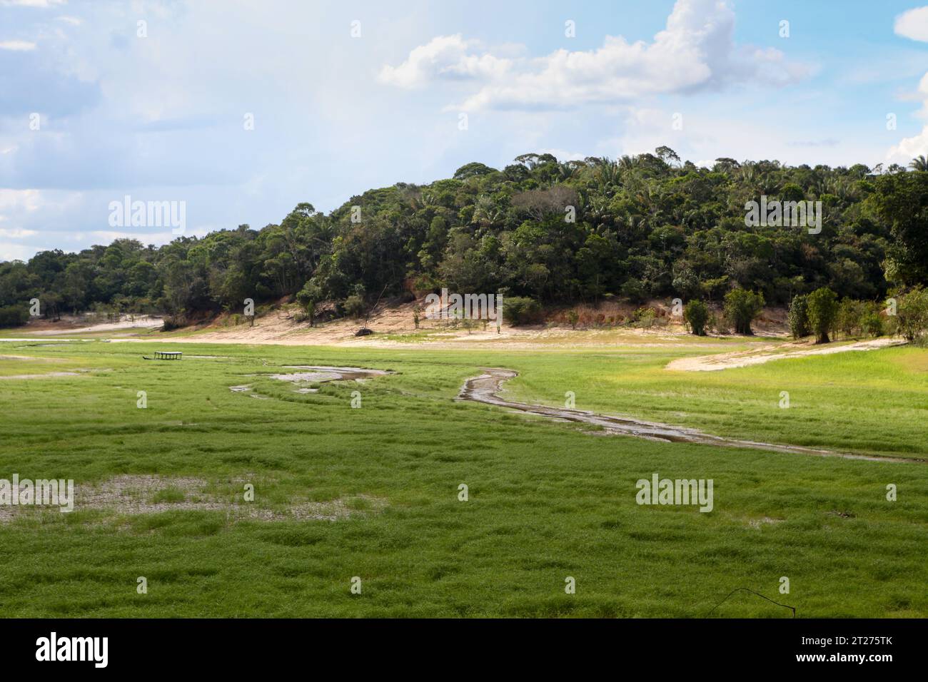 Dry river landscape in extreme drought in the Amazon Rainforest, the ...