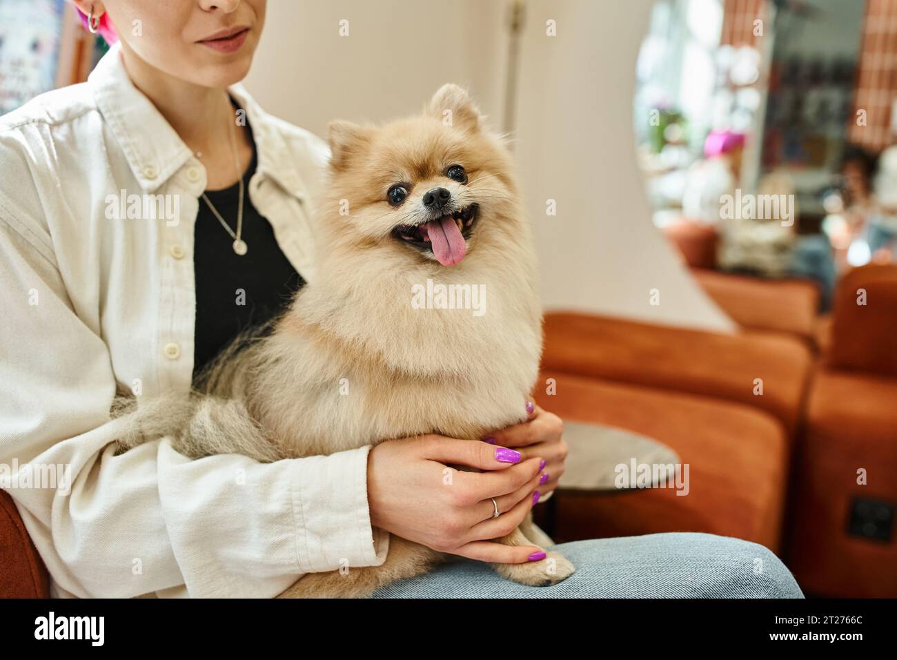 cropped view of woman sitting in pet lobby of pet hotel with pomeranian spitz sticking out ...