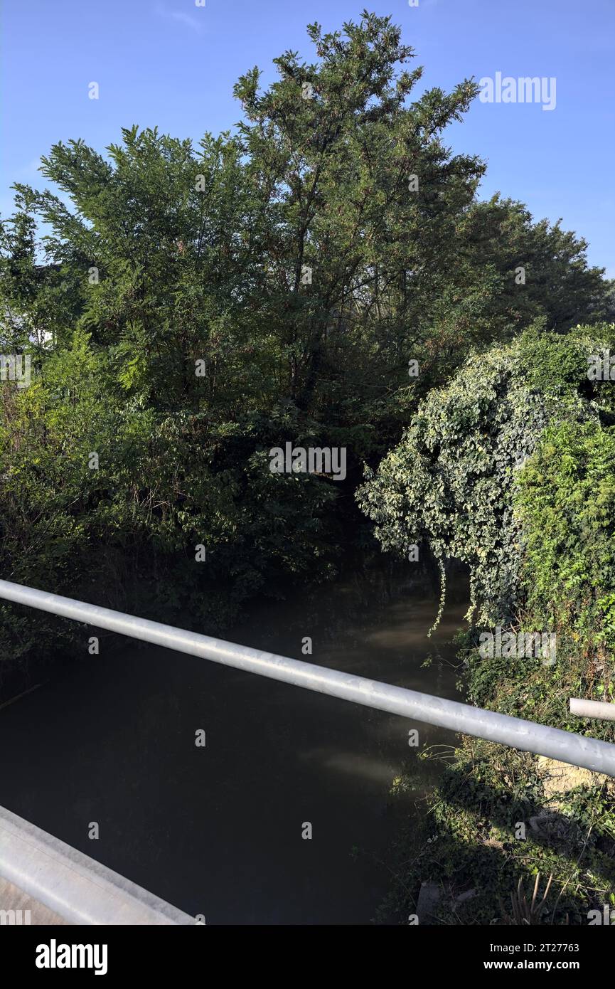 Brook between plants and trees in a village in the italian countryside ...