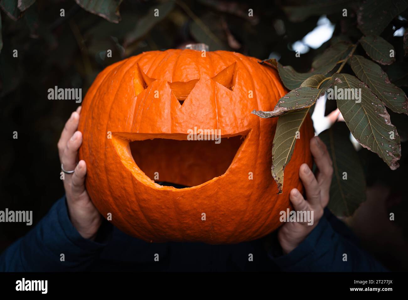 Scary face carved in tree hi-res stock photography and images - Alamy