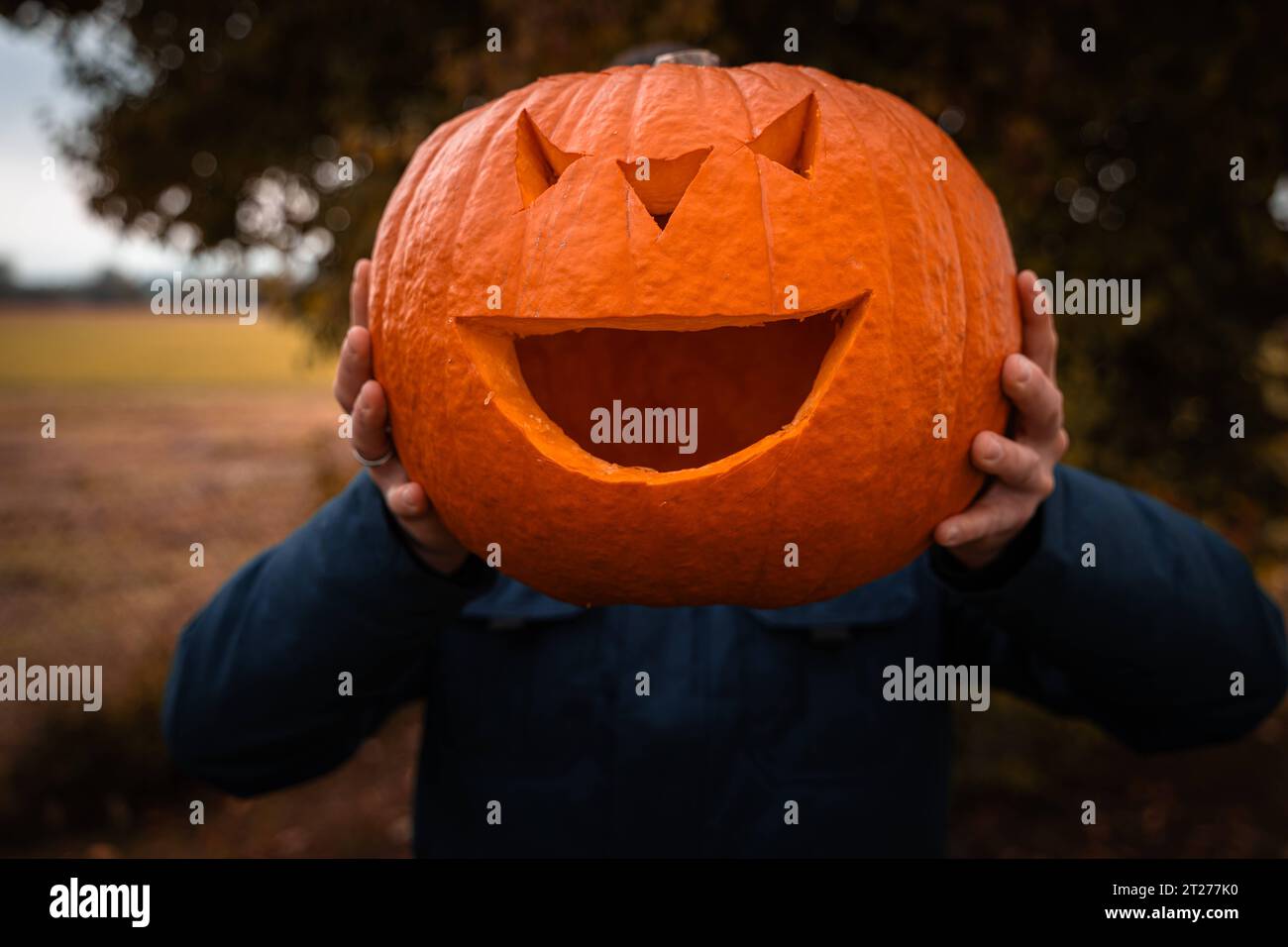 Augsburg, Bavaria, Germany. 17th Oct, 2023. Halloween pumpkin in front ...
