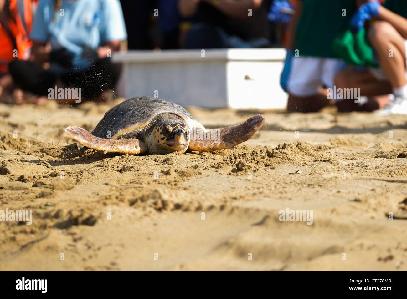 Manikata hi-res stock photography and images - Alamy