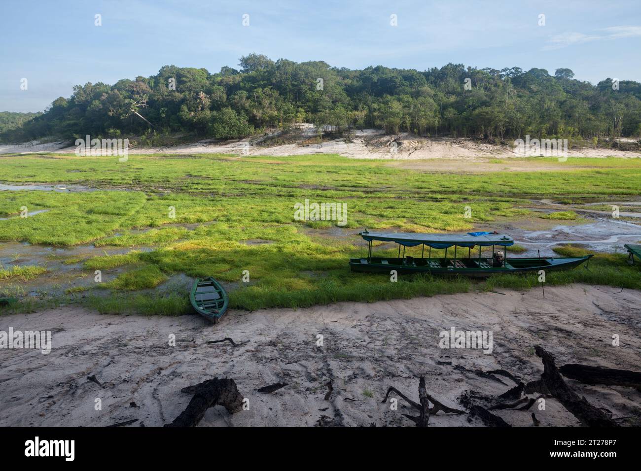 Boat stranded on dry river in extreme drought in the Amazon Rainforest ...