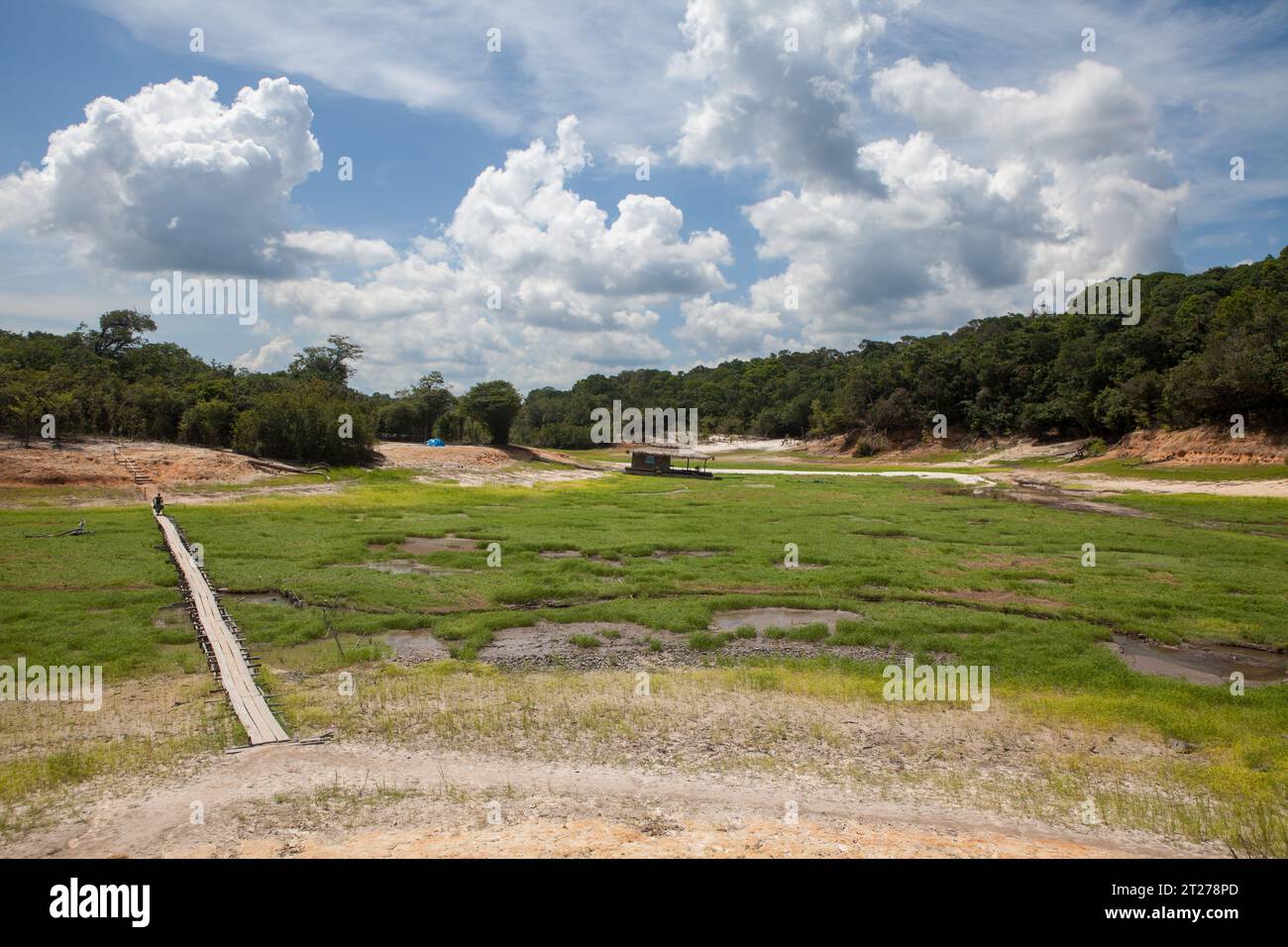 Dry river in extreme drought in the Amazon Rainforest. Wooden bridge ...