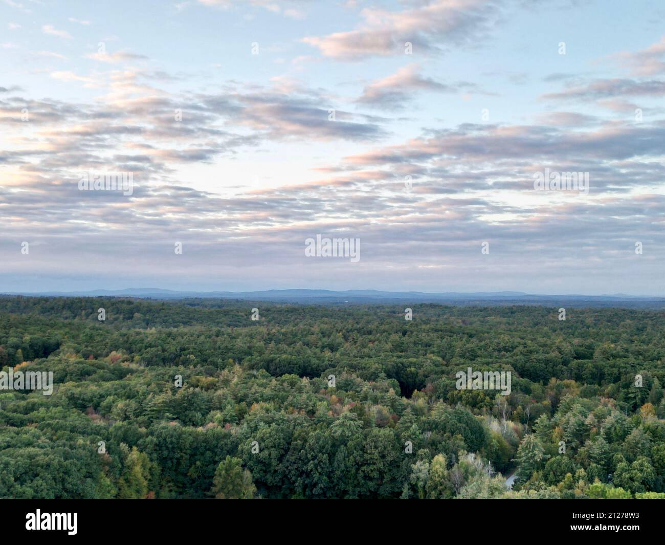 An aerial view of a vast wooded landscape with white, fluffy clouds in ...