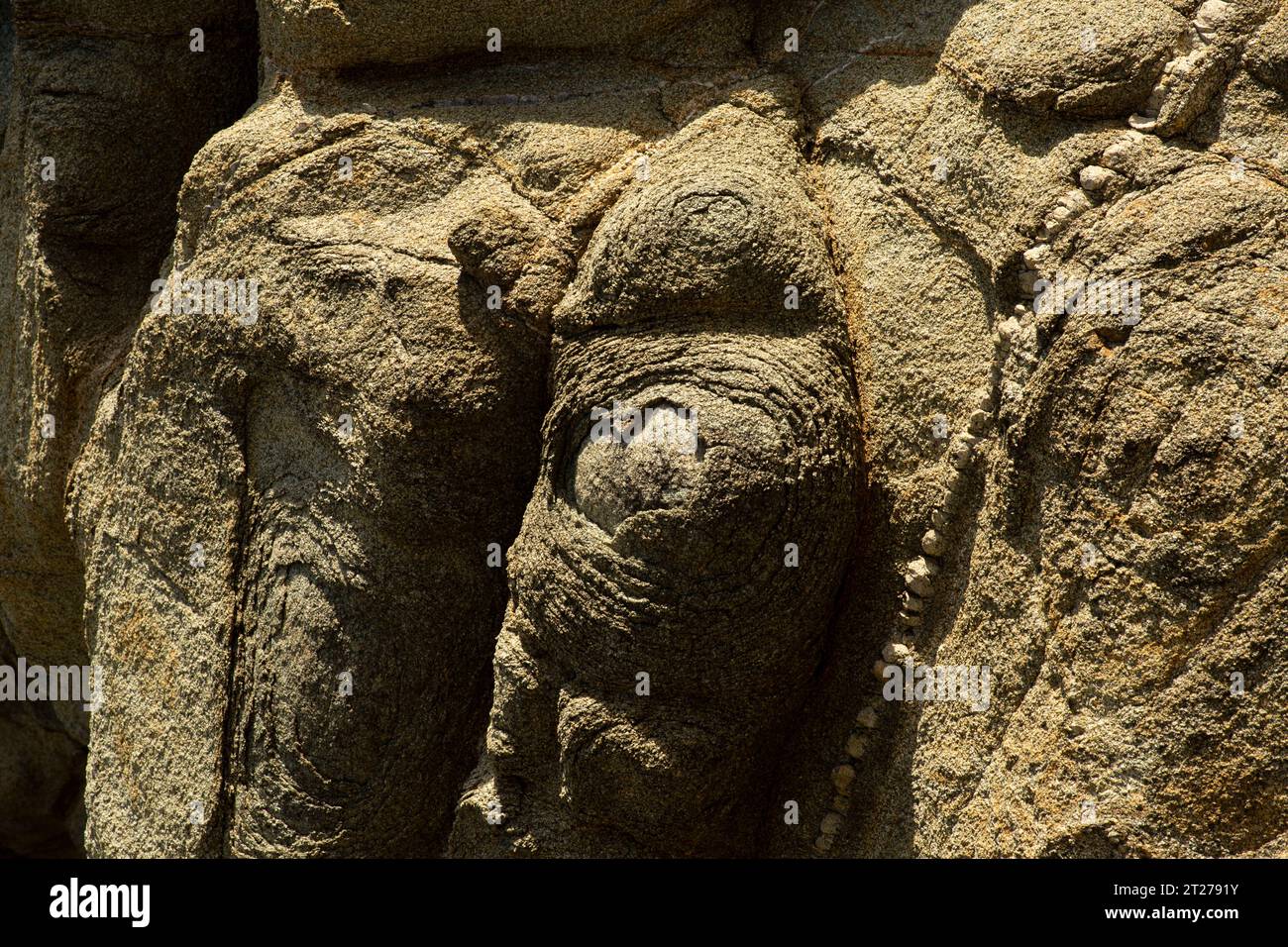 Ancient carving sculpt by the Olmec people in the Caribbean Stock Photo ...