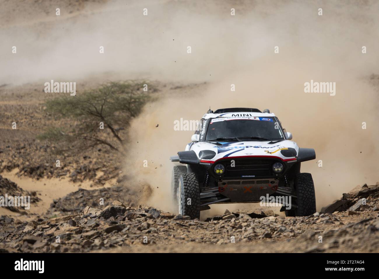 212 HOLOWCZYC Krzysztof (pol), KURZEJA Lukasz (pol), X-Raid Mini JCW ...