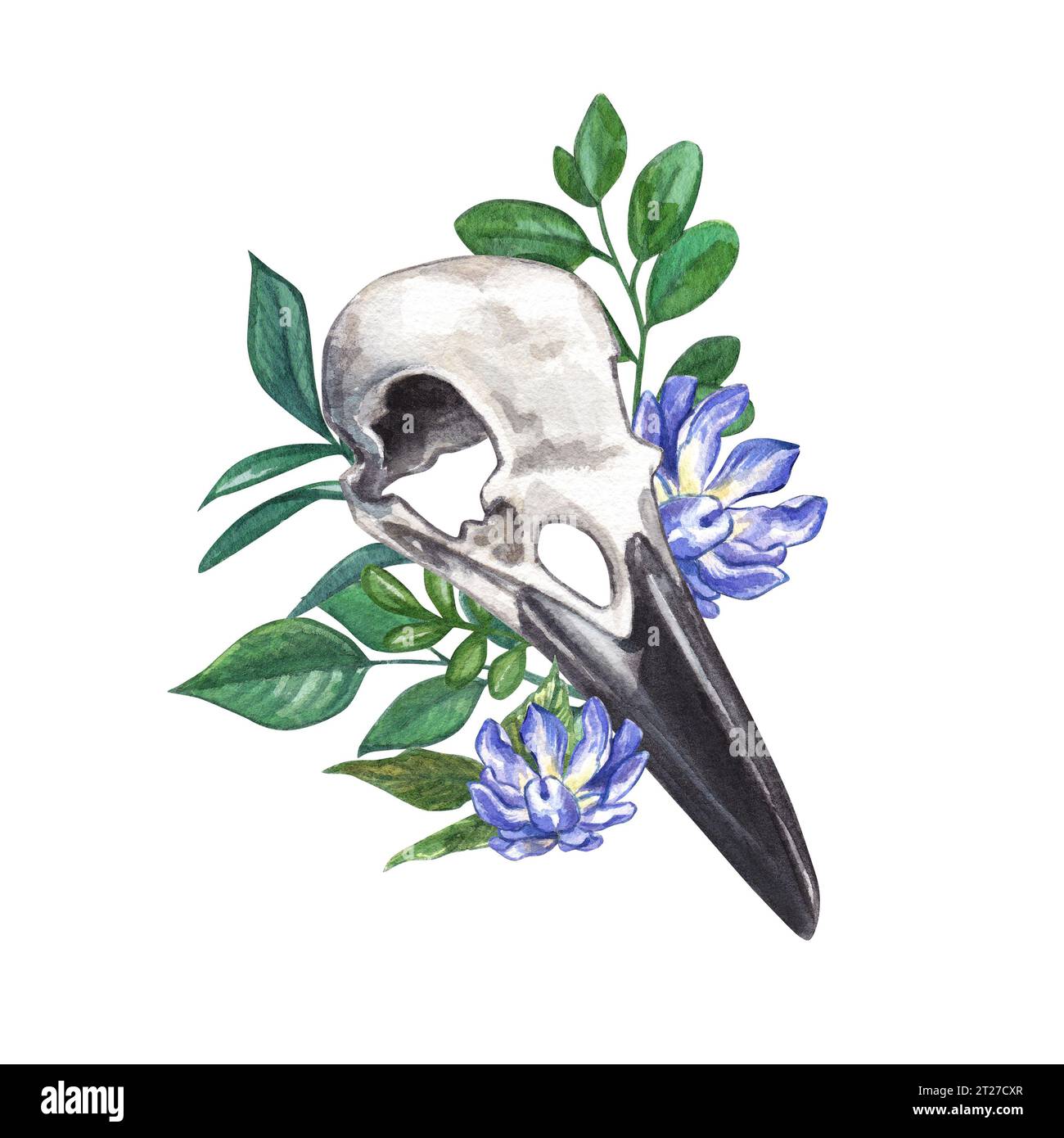 Raven skull in leaves. Watercolor hand drawn illustration of an old ...