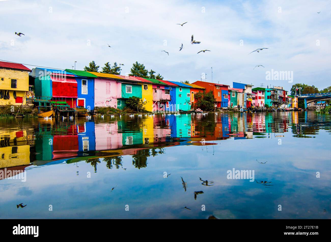 This image captures a vibrant waterfront scene featuring a variety of ...