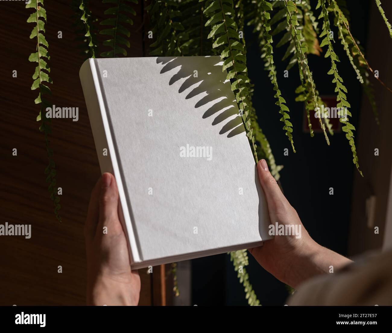 Book mockup and green plant. Hard cover, clean clear empty blank ...