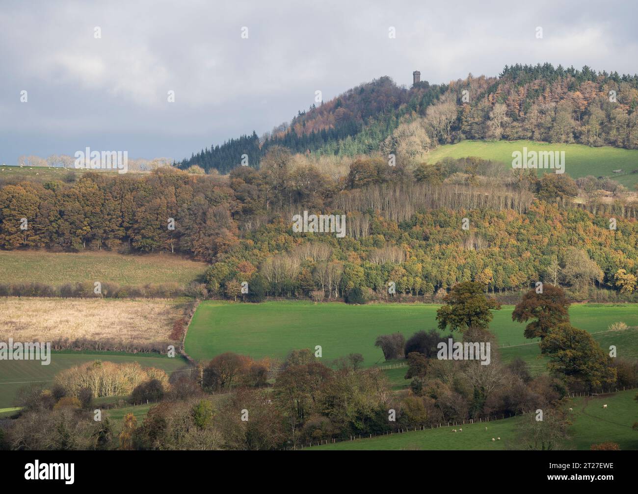 Flounders Folly sits high on the Southern end of Wenlock Edge viewed ...