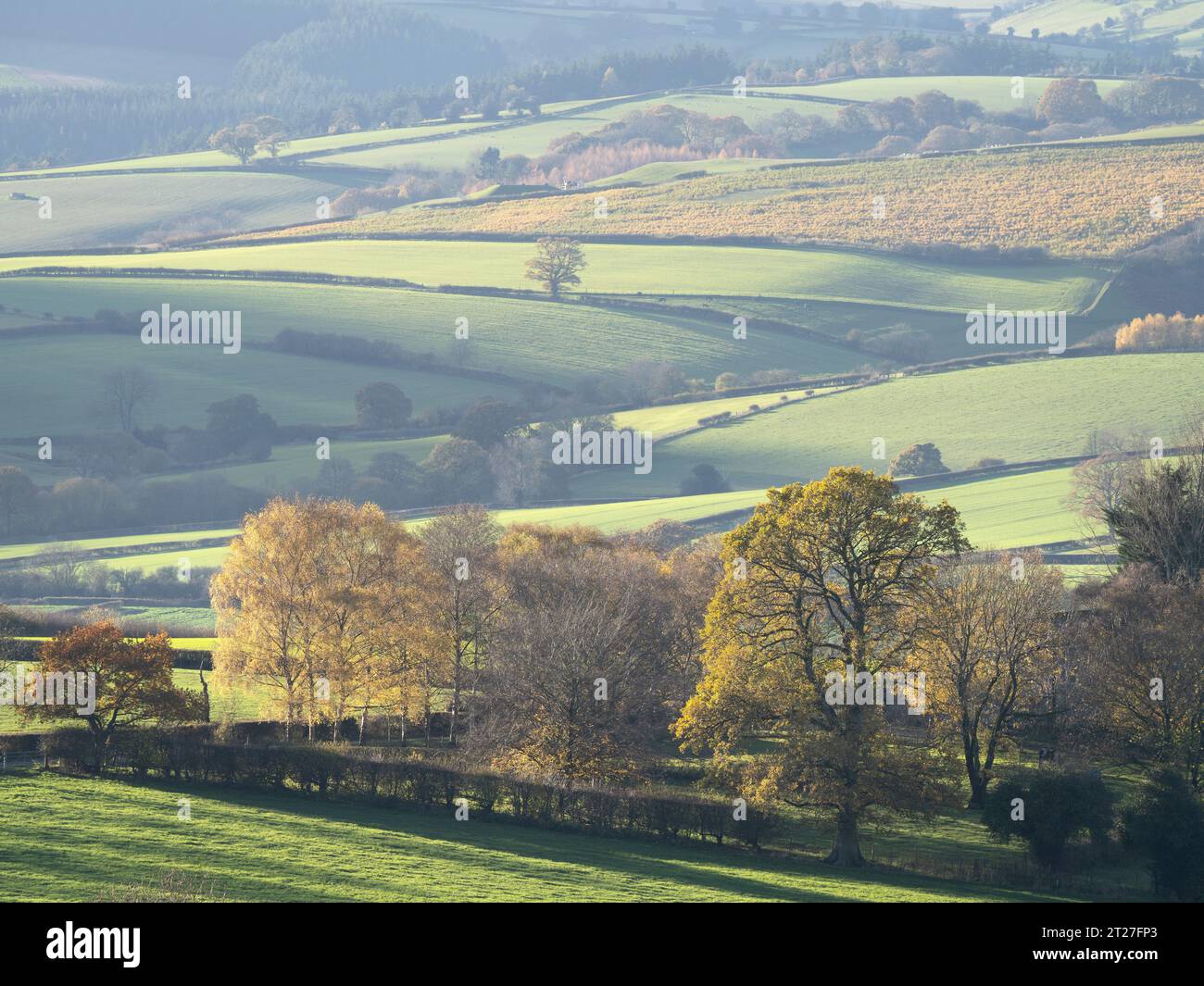 Farmland in the Clun Valley near Craven Arms, Shropshire, UK Stock ...