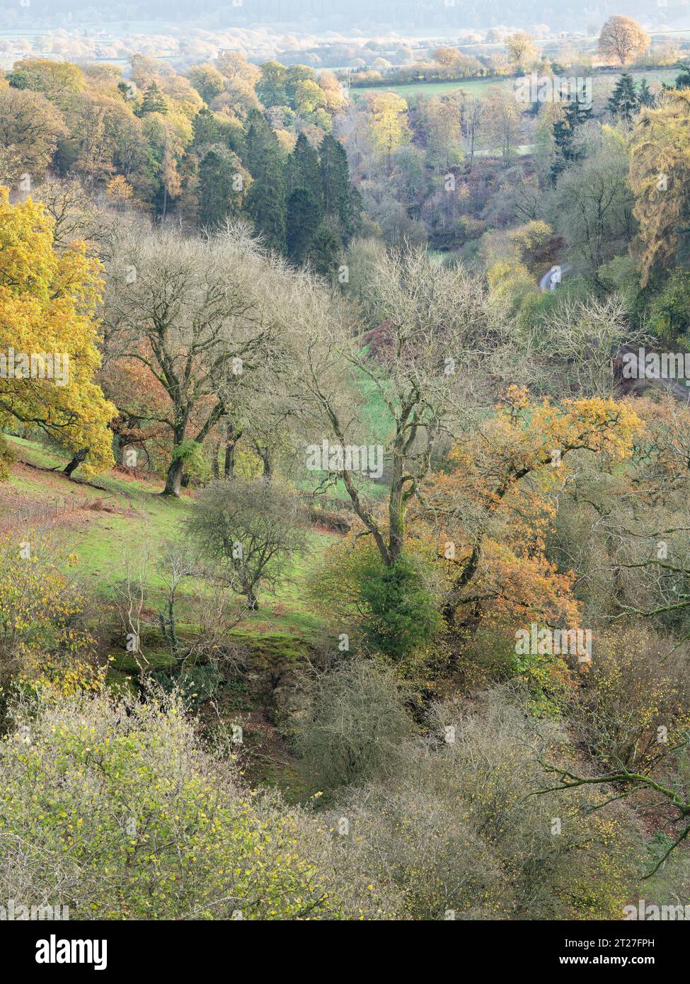 Aldon gutter hi-res stock photography and images - Alamy