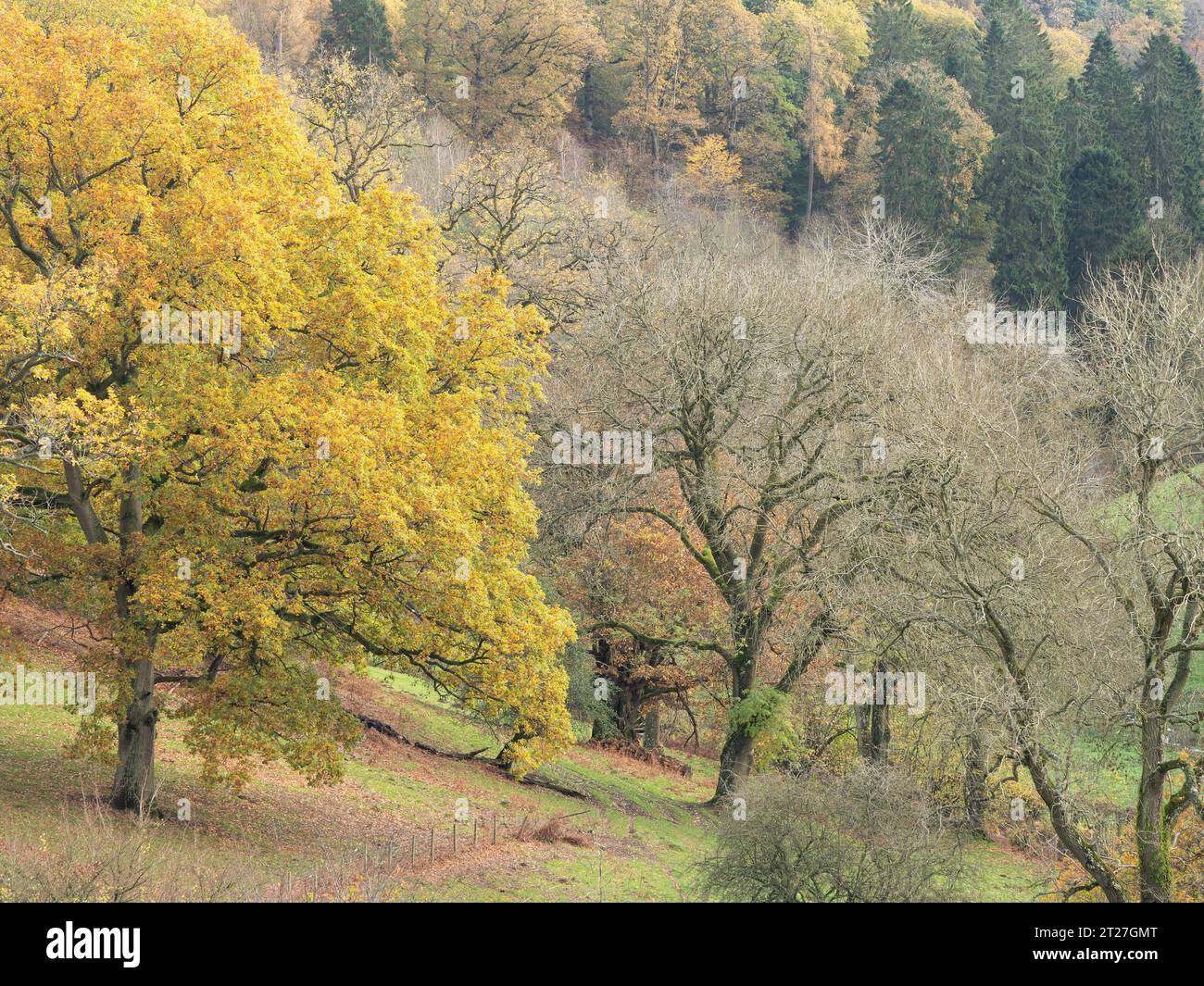 Aldon gutter hi-res stock photography and images - Alamy