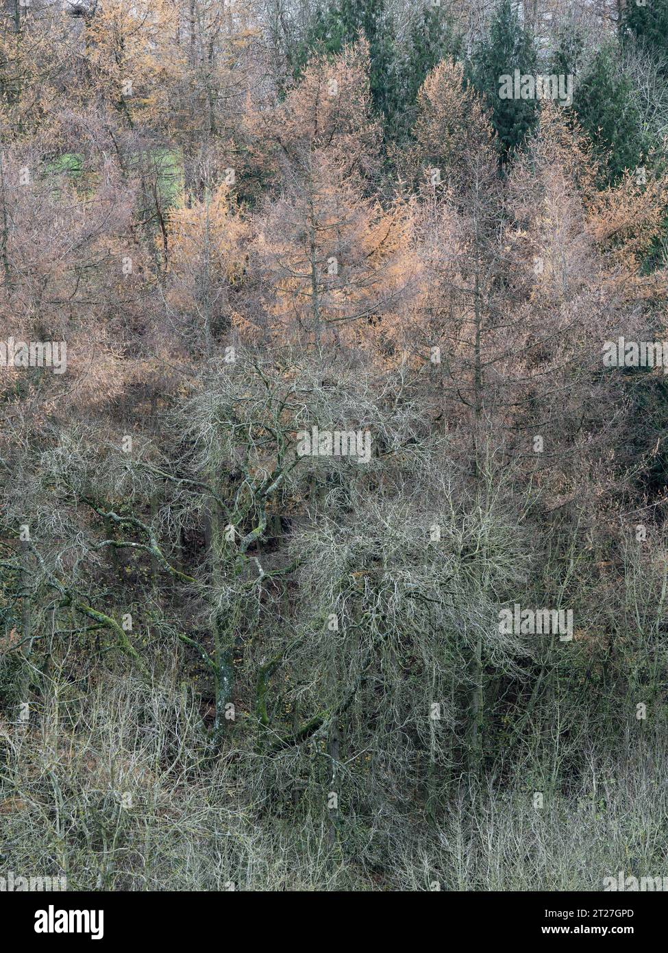 Aldon gutter hi-res stock photography and images - Alamy