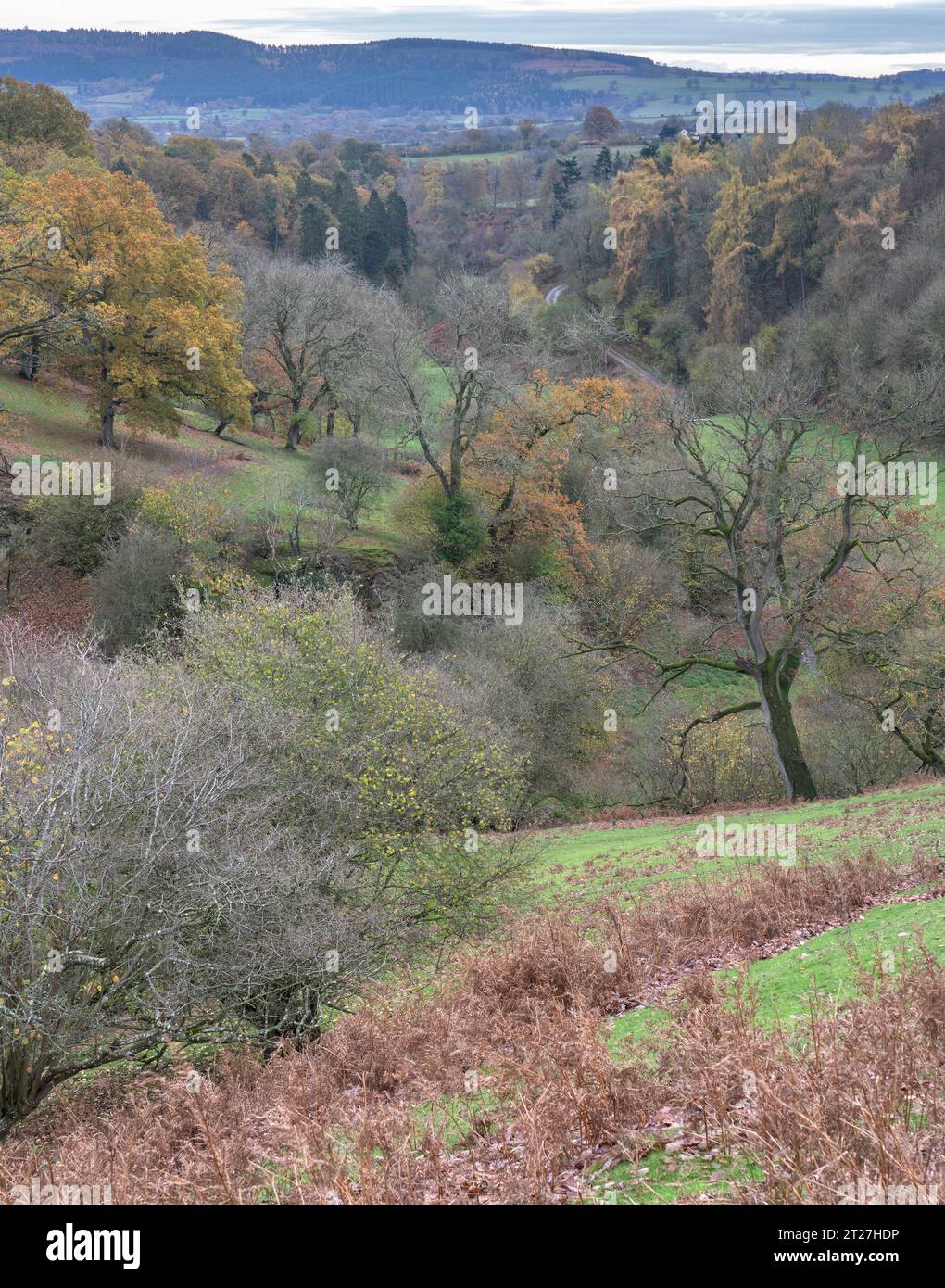 Aldon gutter hi-res stock photography and images - Alamy