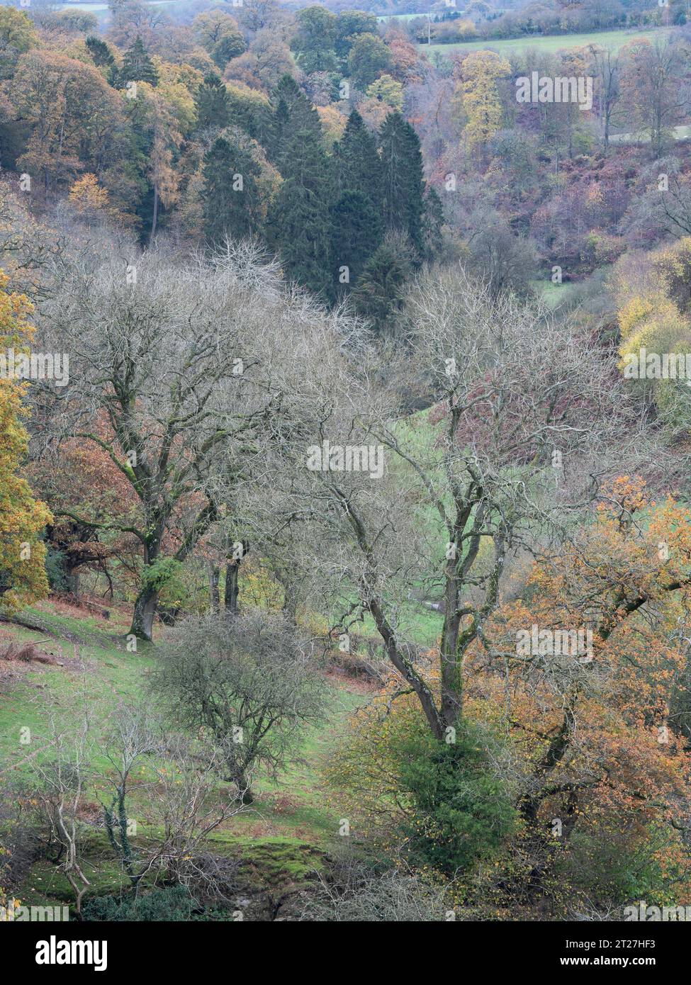 Aldon gutter hi-res stock photography and images - Alamy