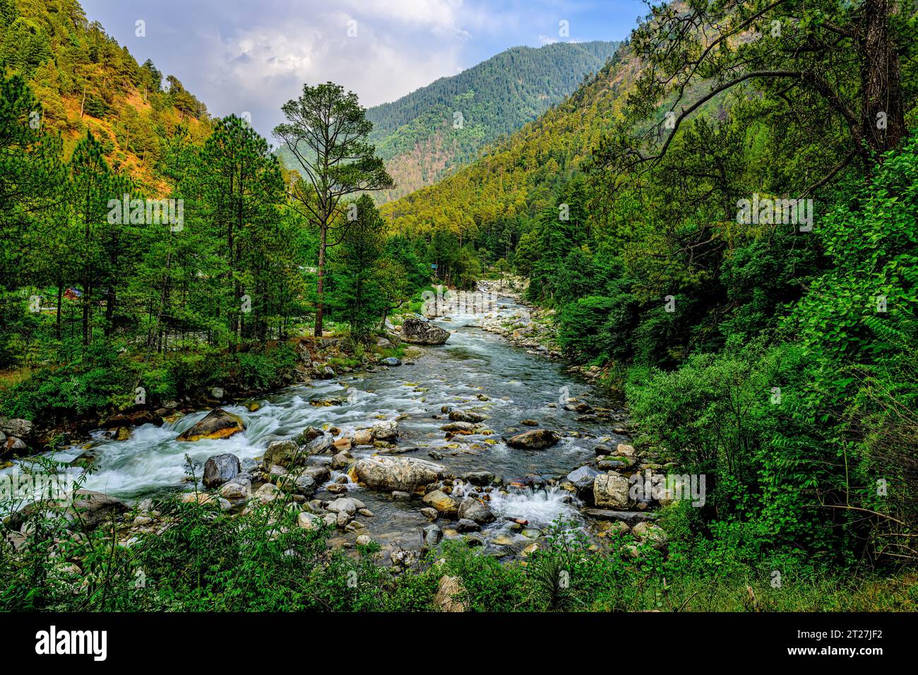The Tirthan River meanders through some of the finest forests of the ...