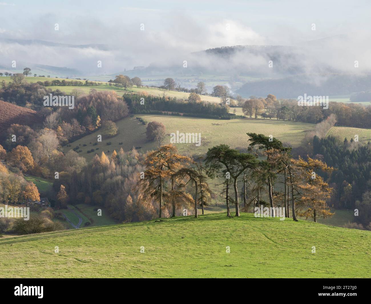 Hopesay Common and the hills near Craven Arms viewed from the Iron Age ...