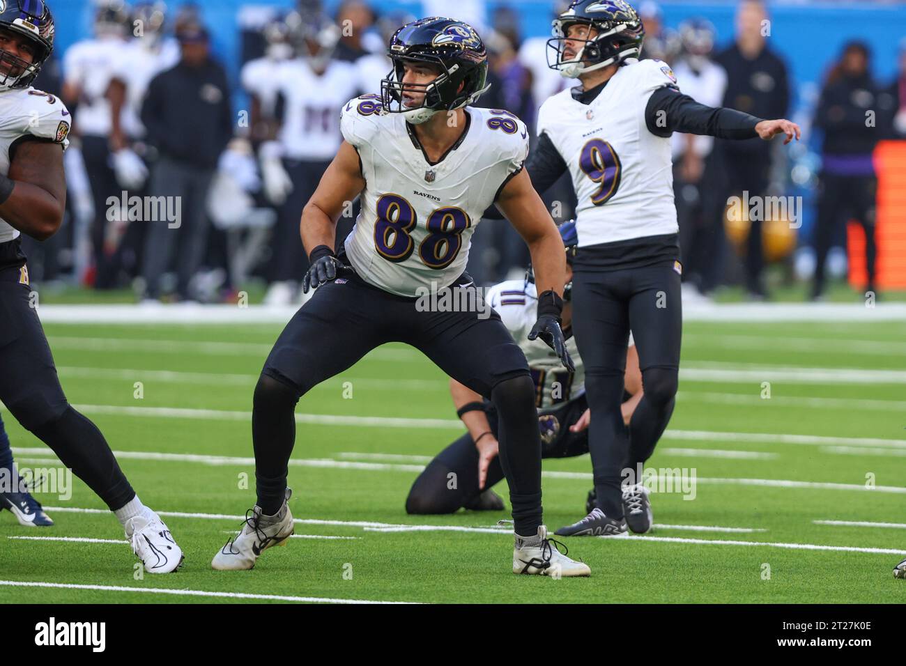 Baltimore Ravens tight end Charlie Kolar (88) in action during an NFL ...