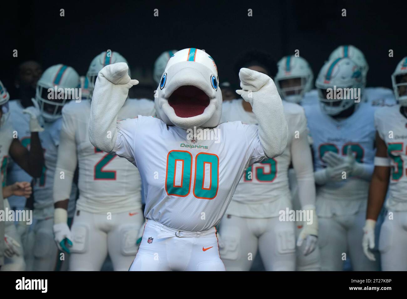Miami Dolphins mascot T.D. prepares to lead players onto the field ...