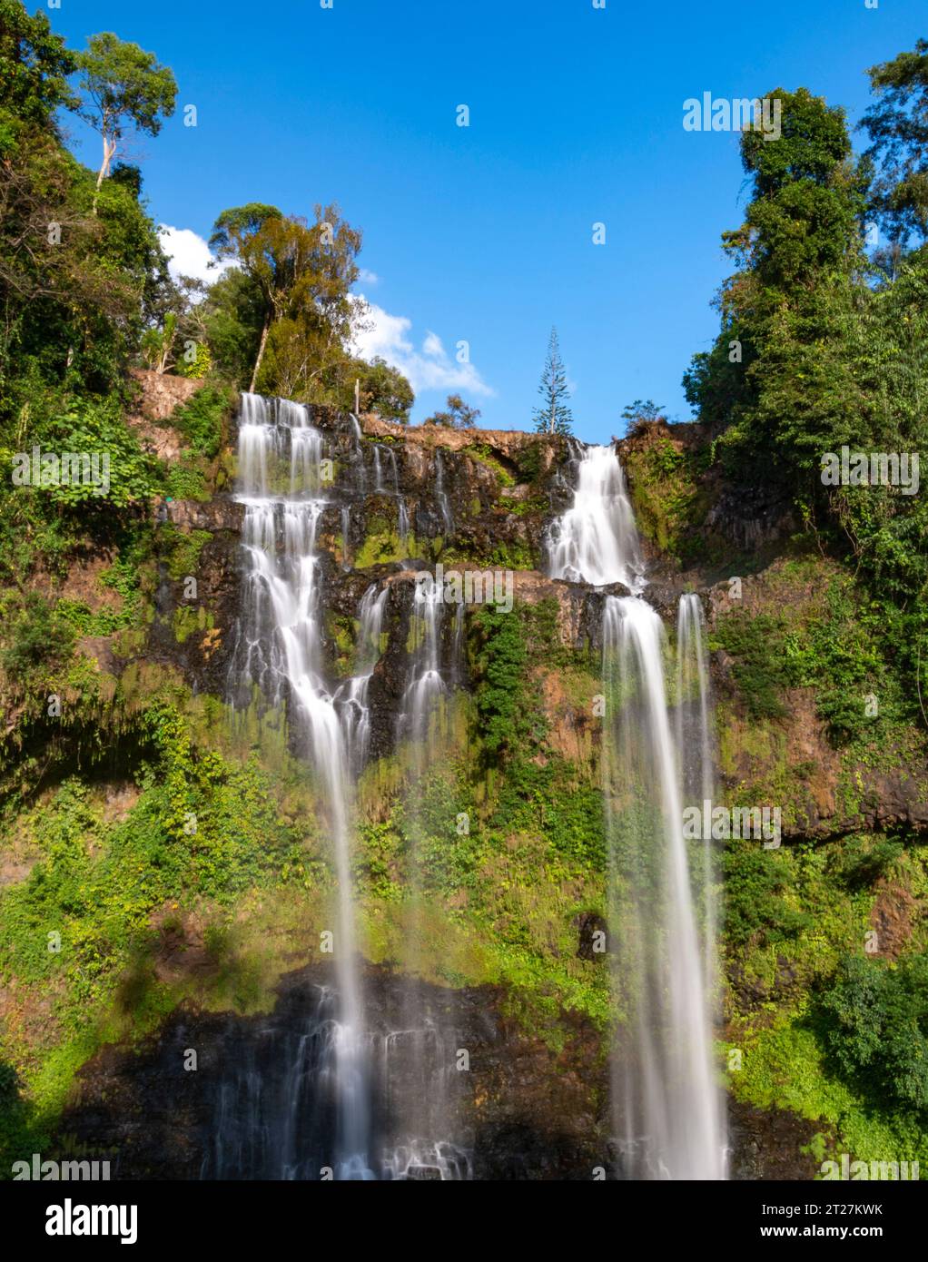 40m high,picturesque waterfall surrounded by beautiful rain forest and ...
