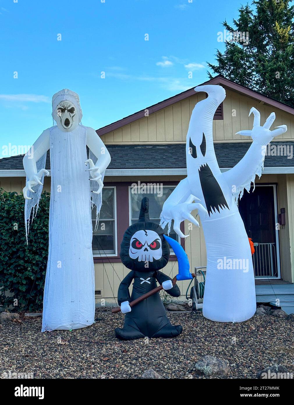 Top view dark spooky figure hi-res stock photography and images - Alamy