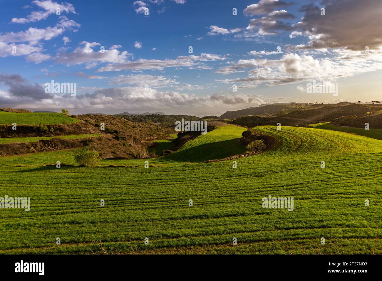Spring clouds on fields hi-res stock photography and images - Alamy