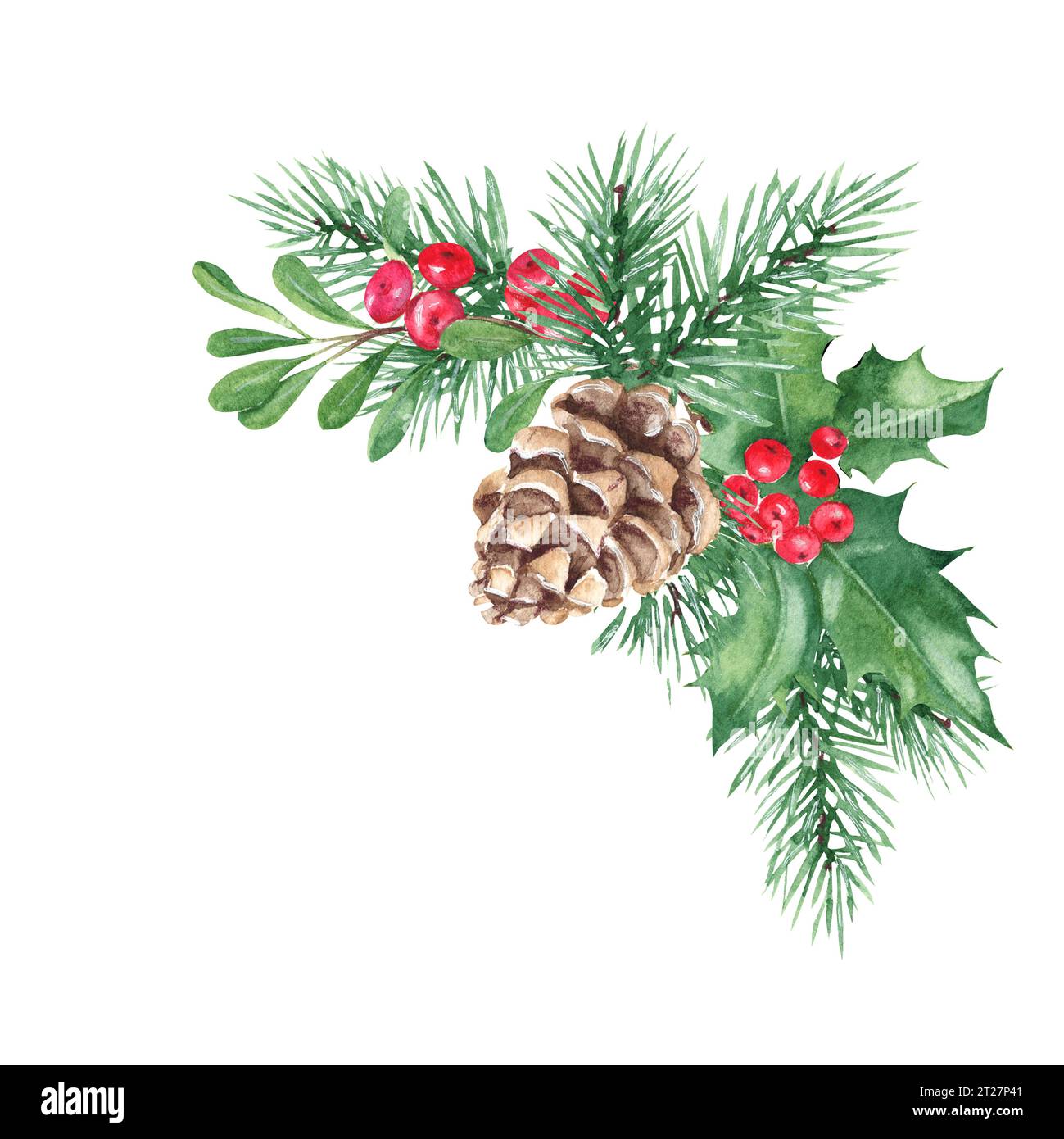 Christmas bouquet, corner. Forest pine branches with cone, Holly plant ...
