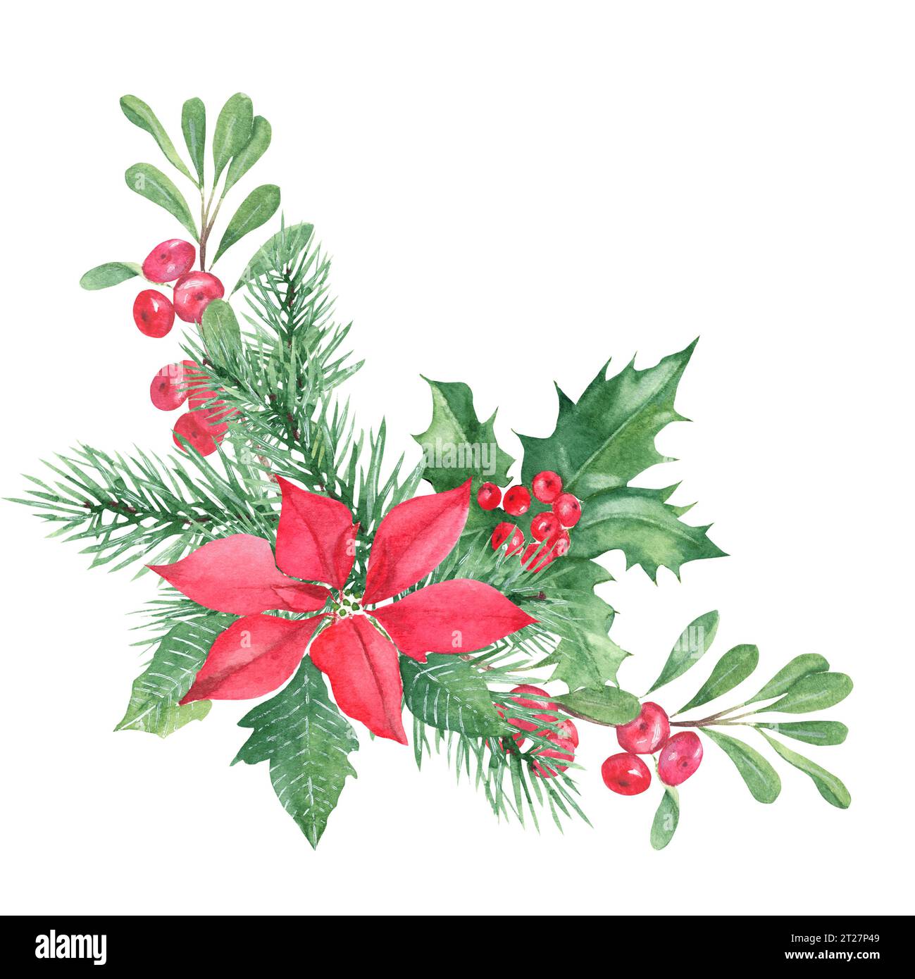Christmas bouquet, corner. Forest pine branches, Holly plant with red ...