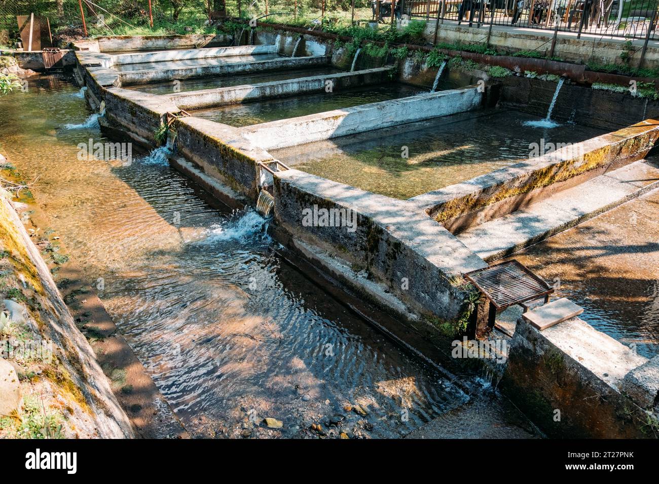 Breeding of trout in pools in fish farm Stock Photo - Alamy
