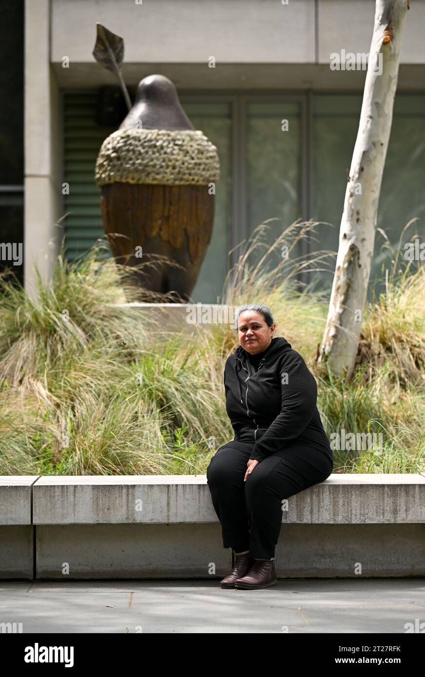 Canberra, Australia. 13th Oct, 2023. Artist Janet Fieldhouse poses for ...