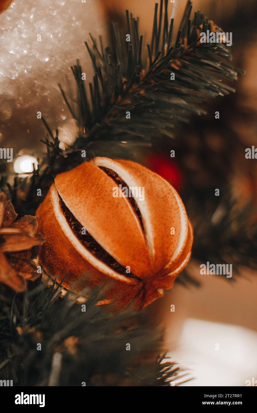 Eve cone hi-res stock photography and images - Alamy