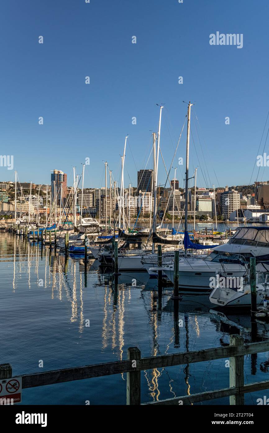 Wellington, New Zealand yacht marina and waterfront skyline Stock Photo ...
